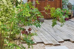 Aménagement d’un petit jardin de ville de style japonais à Nice ...